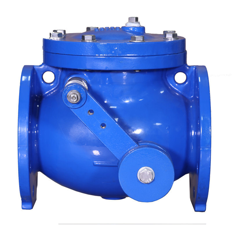 Swing check valve+heavy hammer