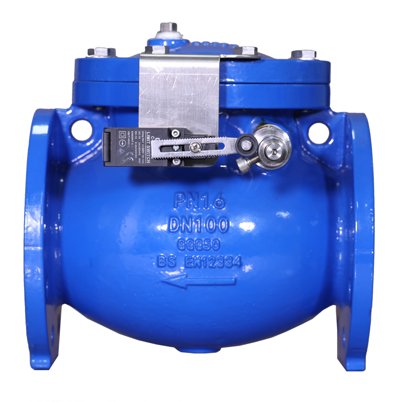 Swing check valve+limit switch