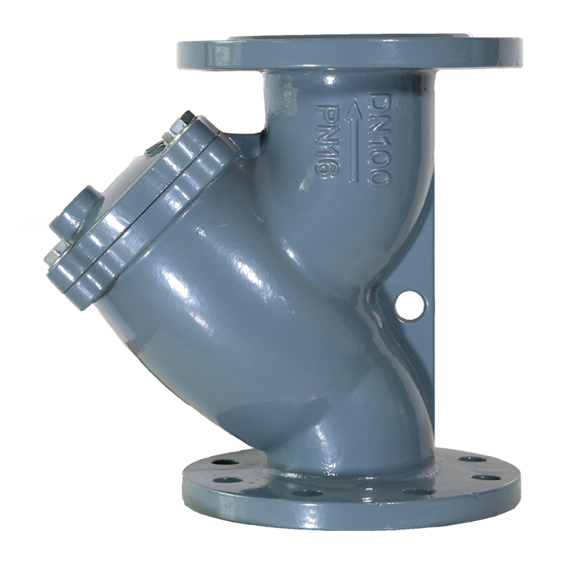 British Standard Y-Type Strainer DN100