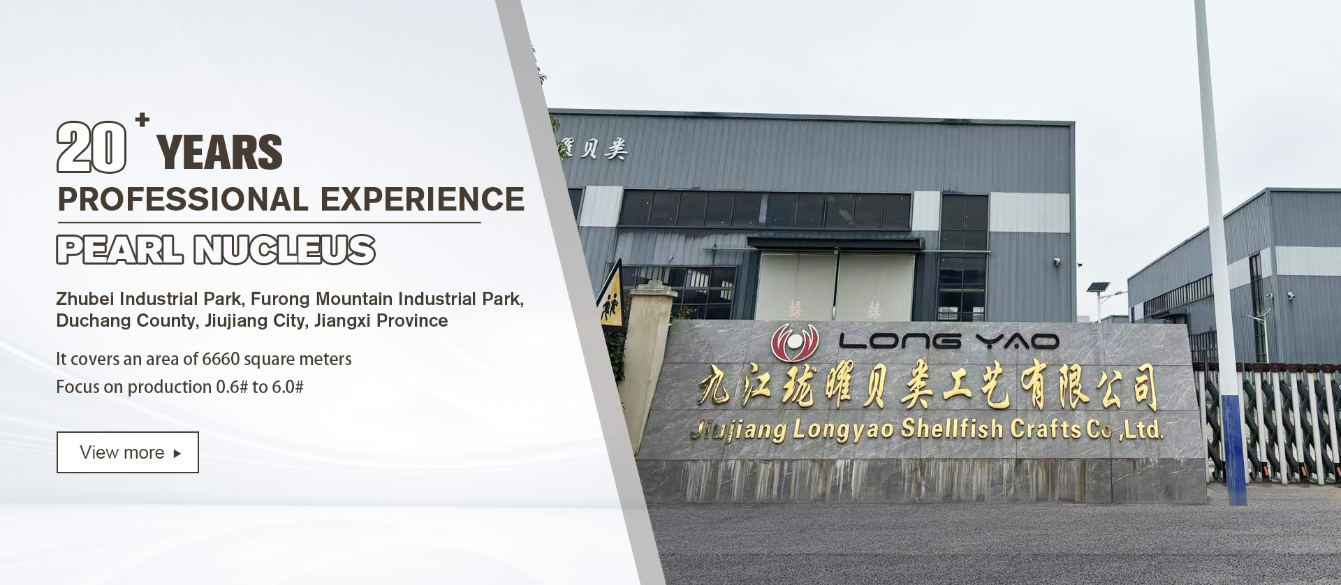 High-Quality Nucleus for Pearl Cultivation