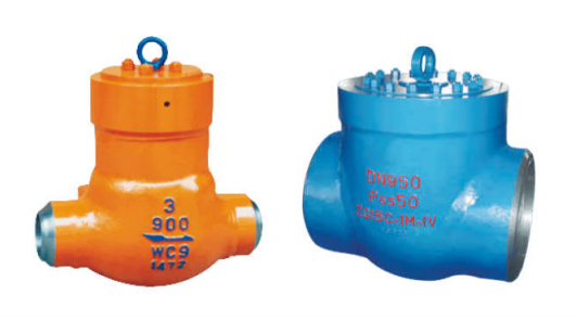 Power station check valve