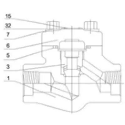 Internal Thread & Socket Weld Check Valve.
