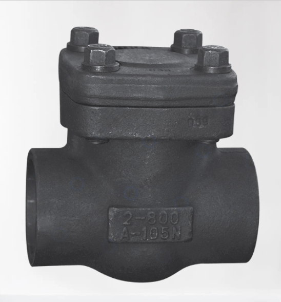 Internal Thread & Socket Weld Check Valve.