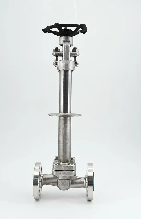 Premium Cryogenic Extended Stem Globe Valve Solutions.
