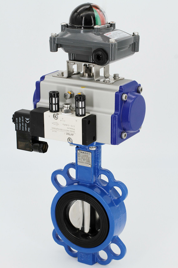 PTFE SEALING BUTTERFLY VALVE