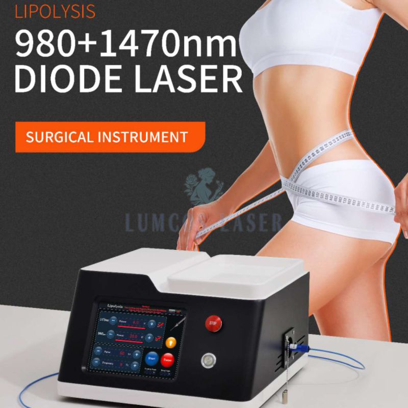 lipolysis,fat lipolysis,lipolysis weight loss