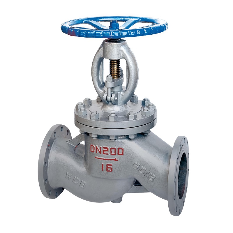 Corrosion-resistant pump globe valve