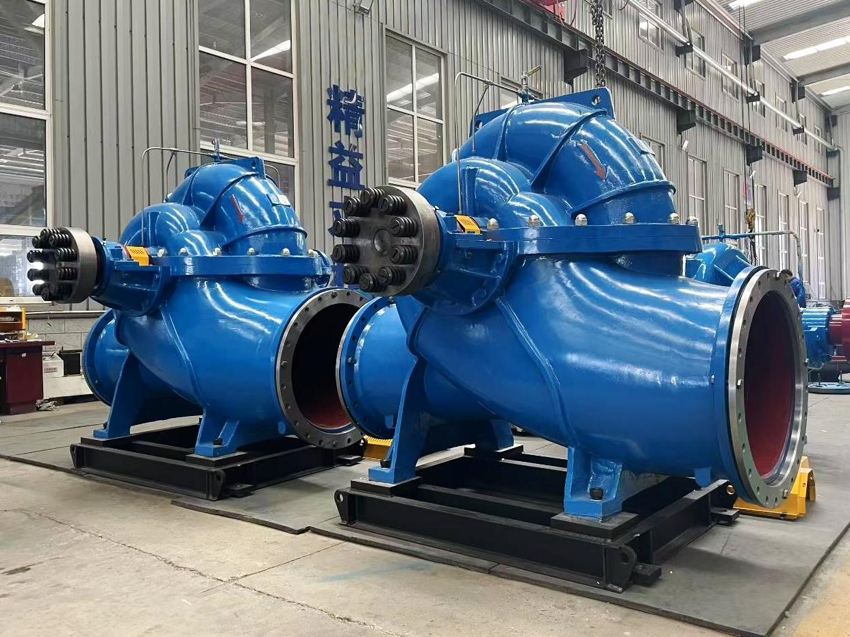 WS Double Suction Pump Manufacturers