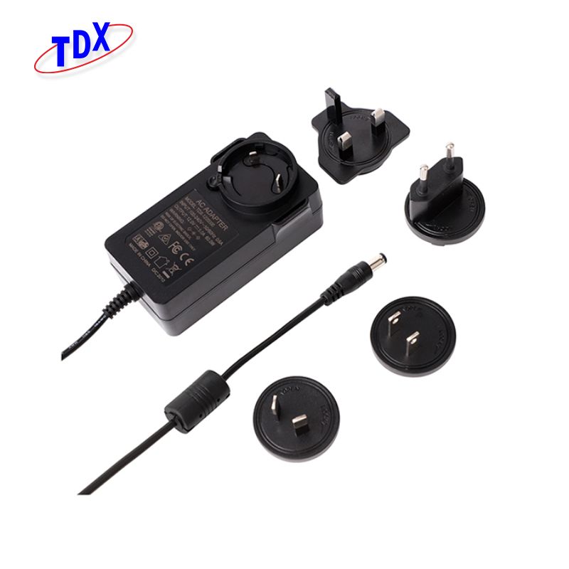 Interchangeable Plug Power Adapter-60W Series