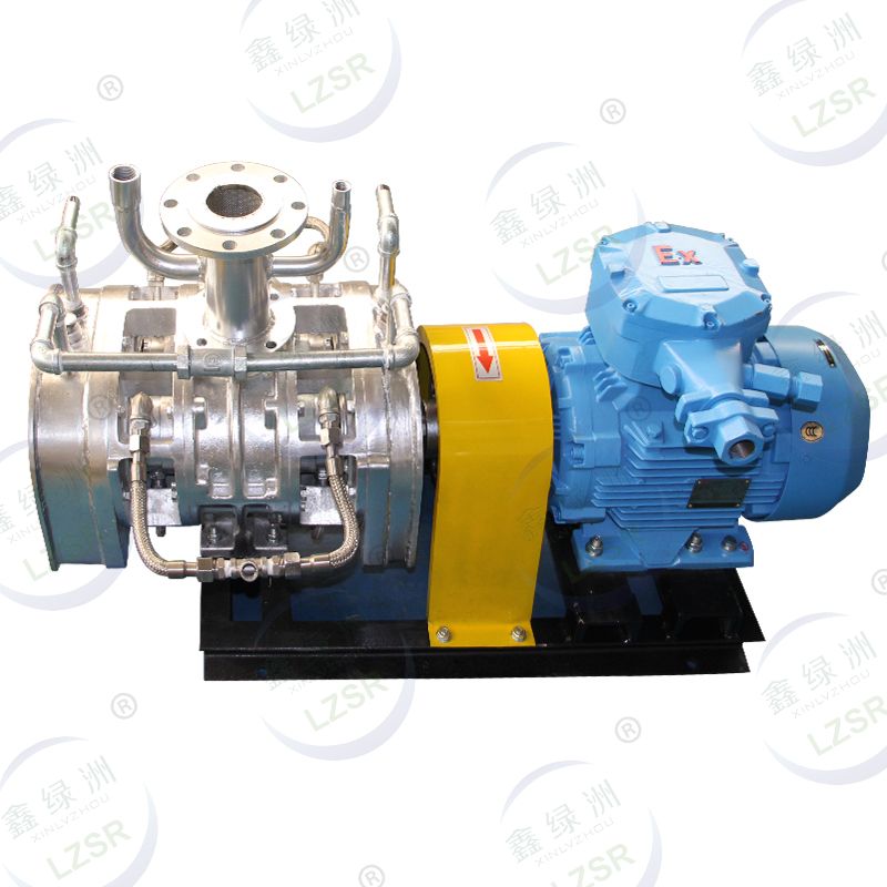 High Pressure Roots Rotary Lobe Blower