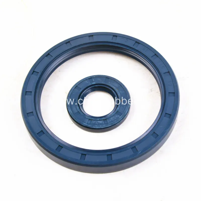 Engine Rotary Shaft Oil Seal - NBR & FKM Hydraulic Pressure Rubber Seal ...