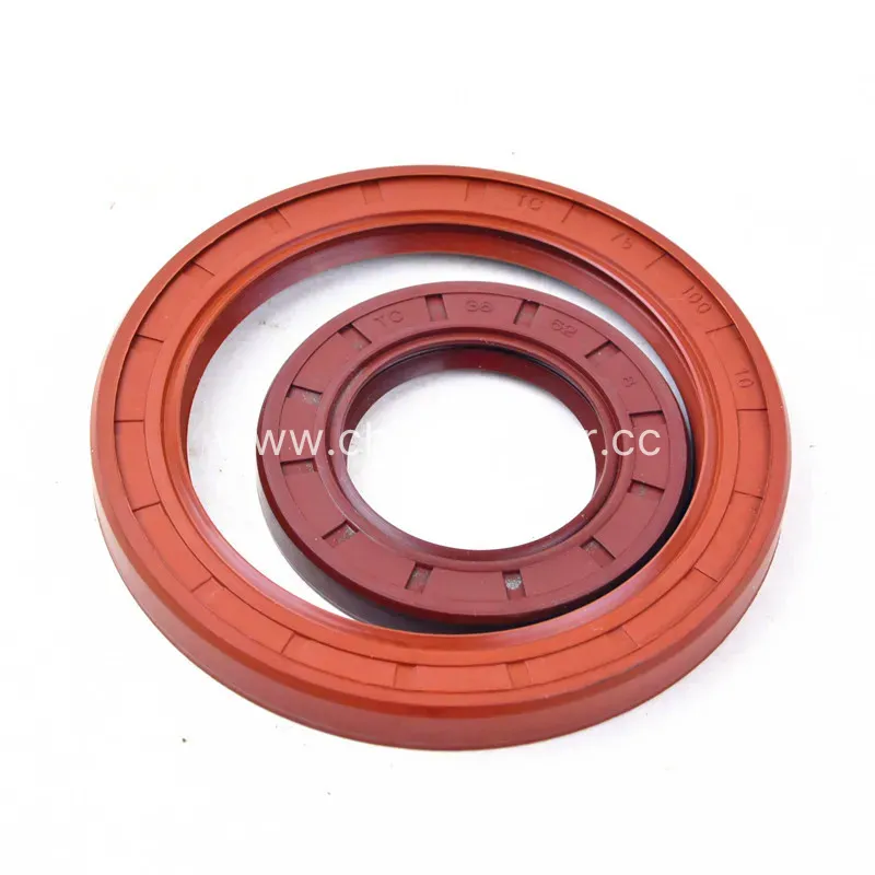High-Quality FKM Mechanical Rotary Shaft Oil Seal for Water Pumps ...