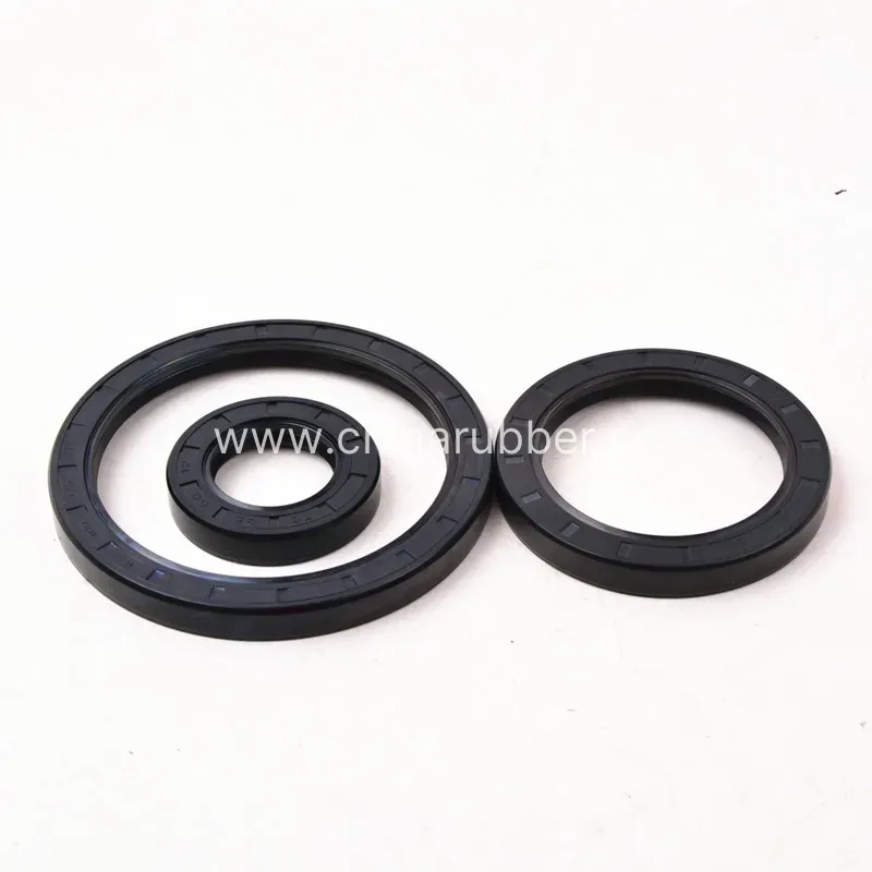 High-Performance NBR FKM Rotary Shaft Oil Seal - Double Lip Design for ...