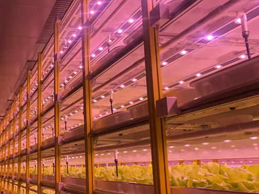 SMD LED | LED Solutions Provider | Caredled