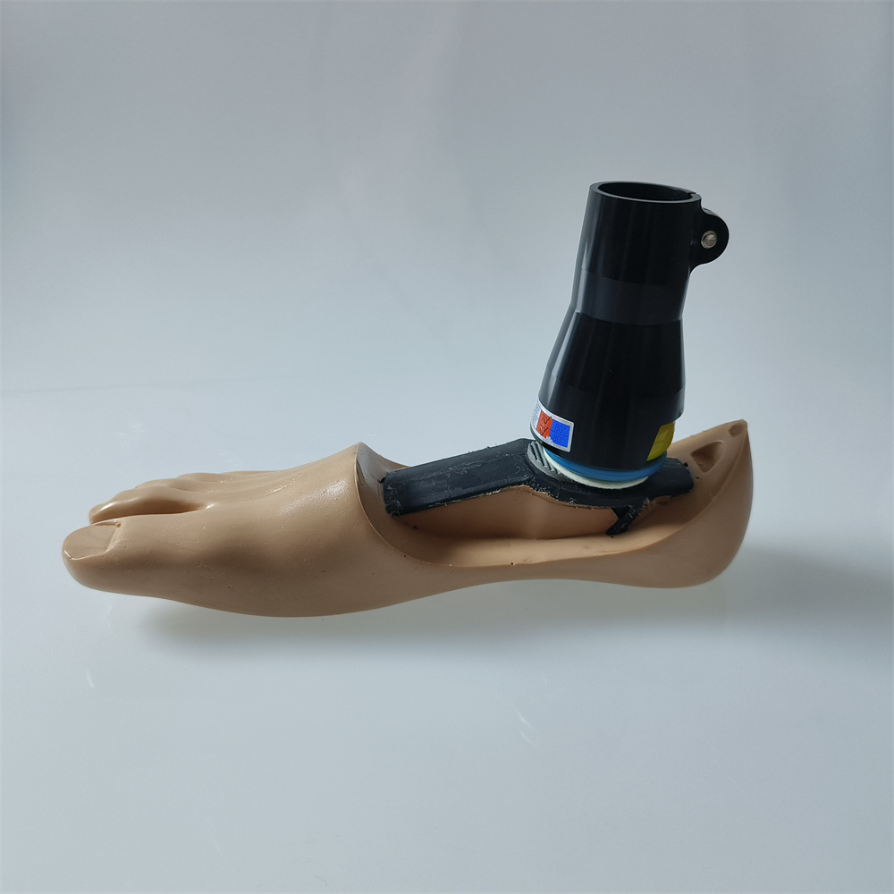 Prosthetic Multi Flex Foot