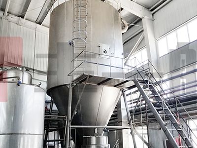 Desulfurization wastewater spray dryer solution