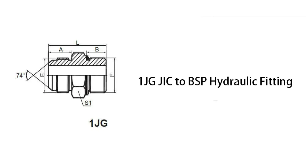 JIC to BSP Hydraulic Fitting