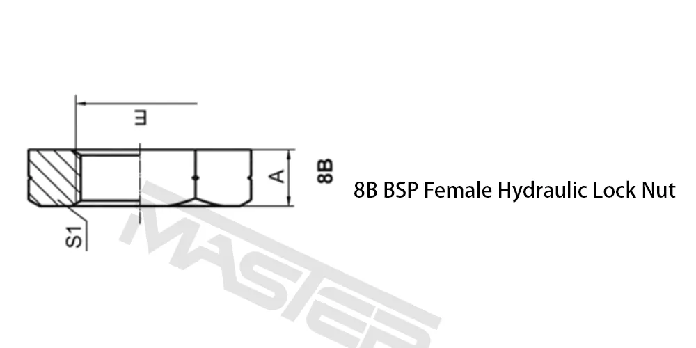 8B BSP Female Hydraulic Lock Nut