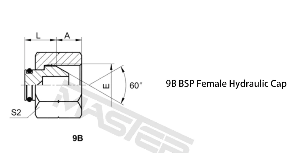 9B BSP Female Hydraulic Cap