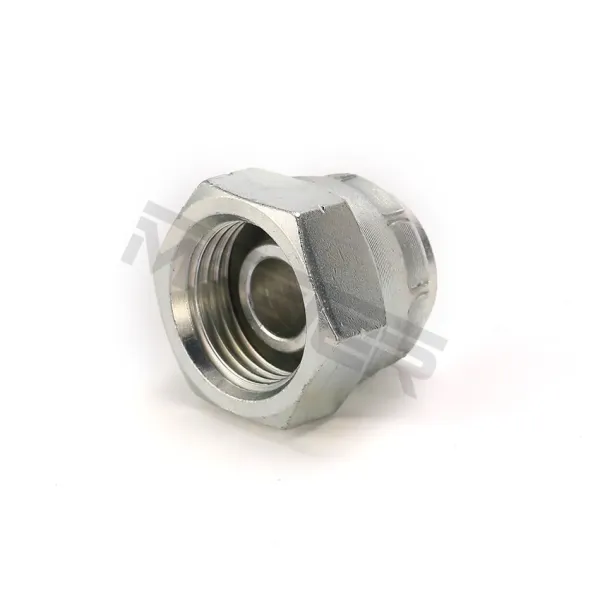 9B BSP Female Hydraulic Cap