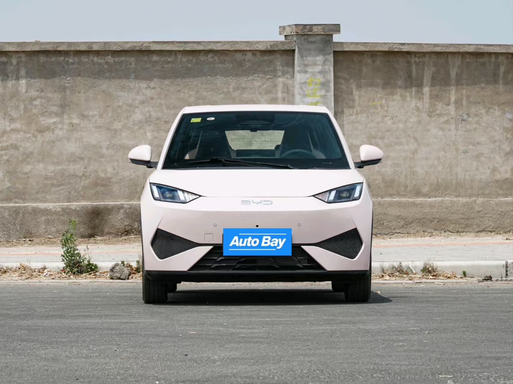 BYD Seagull EV, Compact Passenger Car