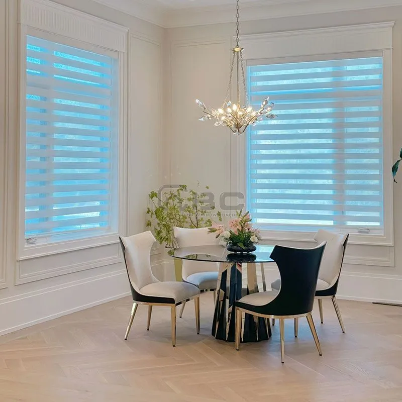 Zebra Shades Supplier, Dual-Layer Window Shades