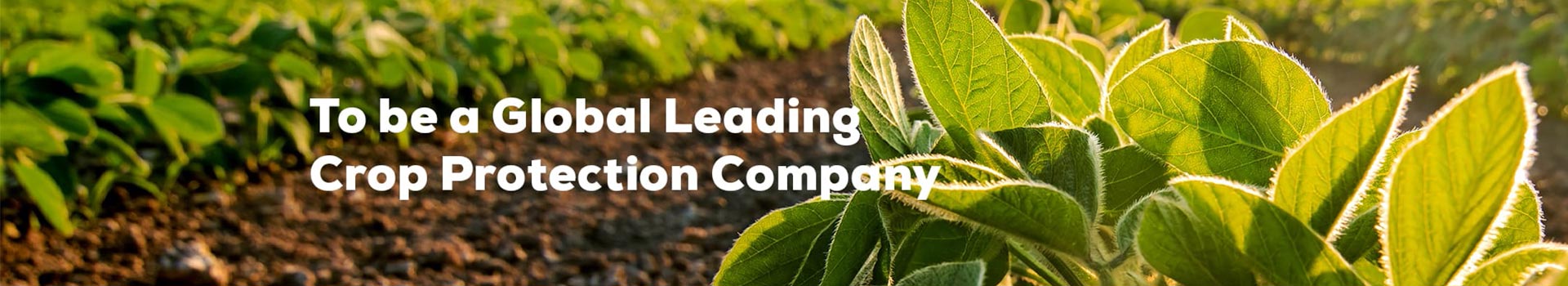 Prothioconazole 20% + Tebuconazole 20% SC — Broad-Spectrum Fungicide ...