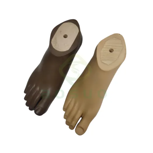 Prosthetic SACH Foot, Lightweight Below-Knee Foot