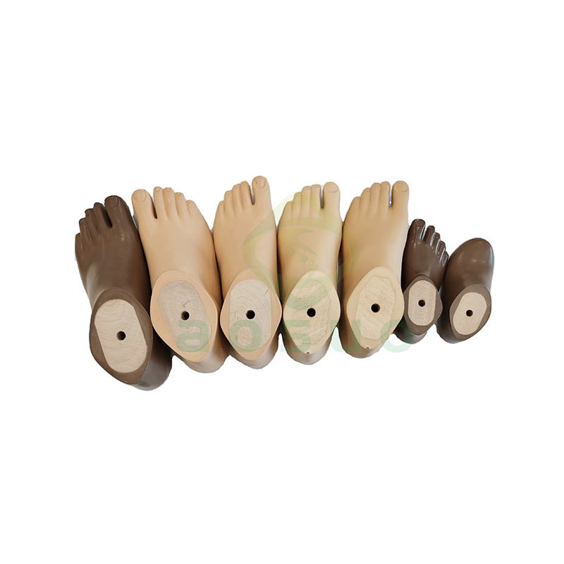 Prosthetic SACH Foot, Lightweight Below-Knee Foot