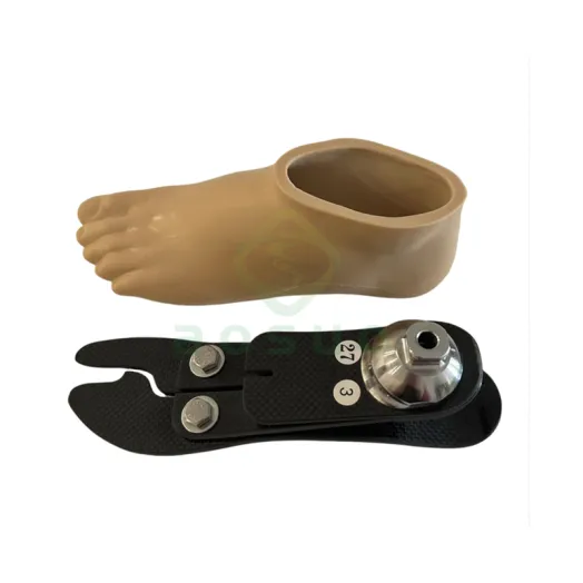 ASC10 Carbon Fiber Prosthetic Foot, Energy-Storage Design