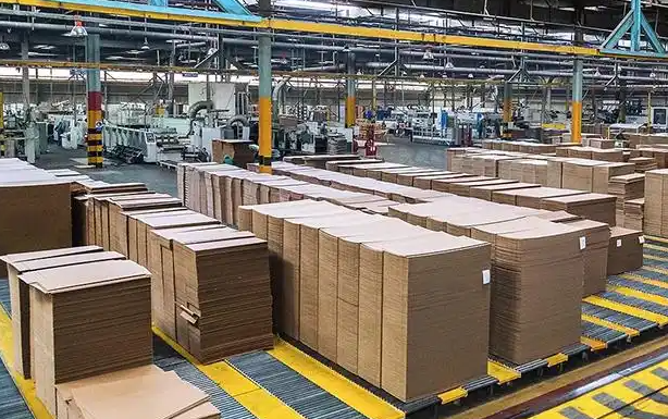 In-Depth Review of Top 5 Global Carton Machinery Brands