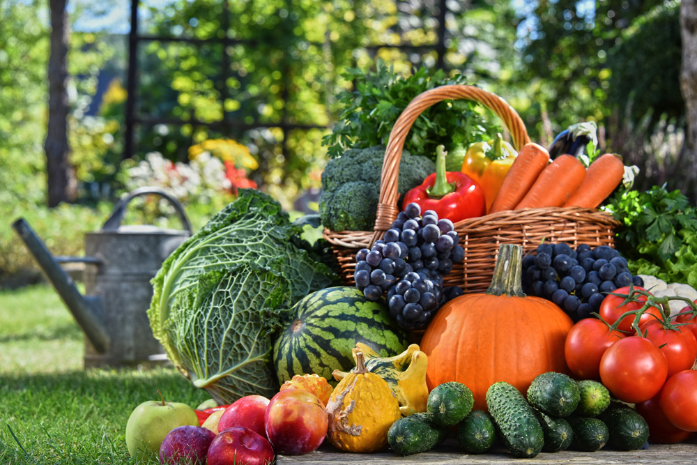 Vegetable Weight Combination Scale.Weight Batching Machine..