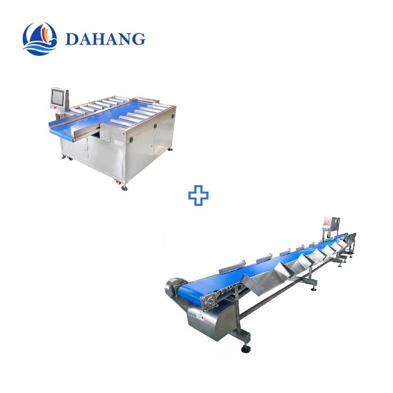Sorting & Counterweight Machines by Zhuhai Dahang: Industry Applications