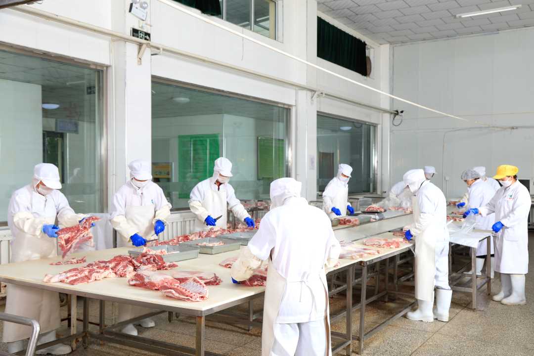 Automated Checkweighers - Precision in Meat Weight Sorting