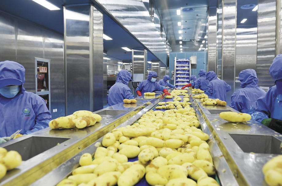 Dahang - Bagged Puffed Food Checkweigher for Precise Weight Control