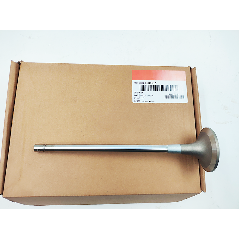 Cummins Intake Valve 2881815 3804891 3800955 for Engine QSK19