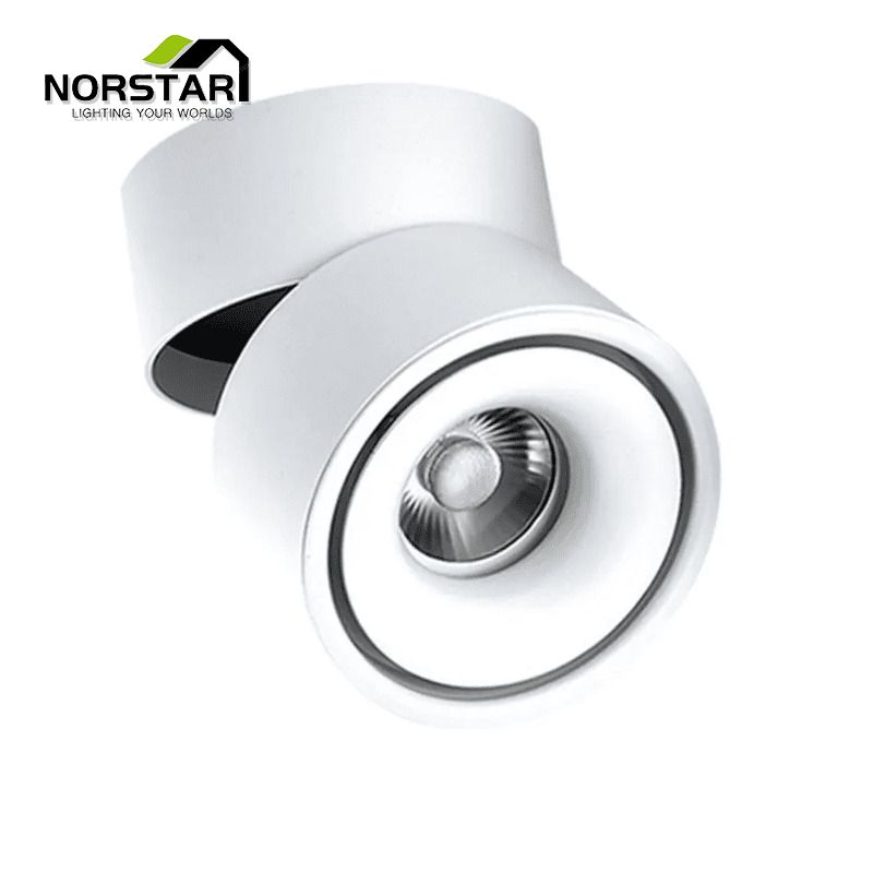 IP20 Surface Mount Downlight, Modern LED Ceiling Light