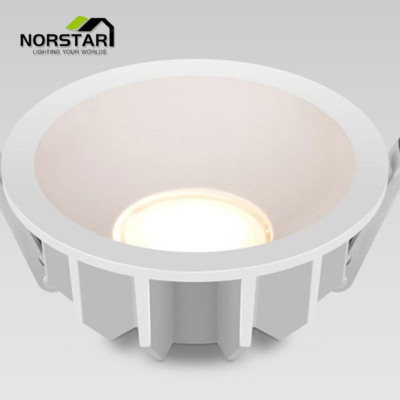 IP65 LED Down Light, Waterproof & Durable, Triac Dali