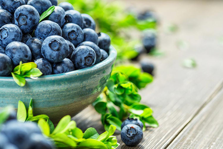 blueberry extract powder benefits, powdered blueberry extract ...
