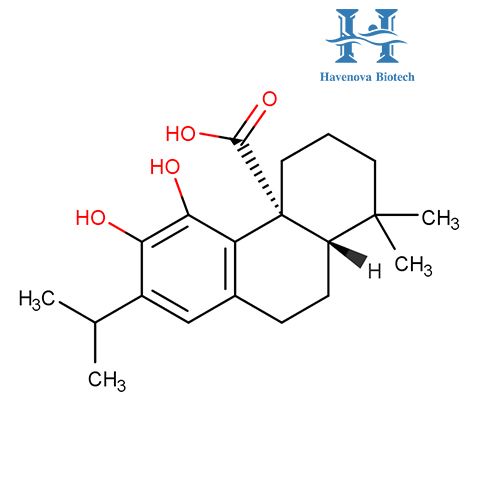 carnosic acid in rosemary, carnosic acid for hair, carnosic acid benefits