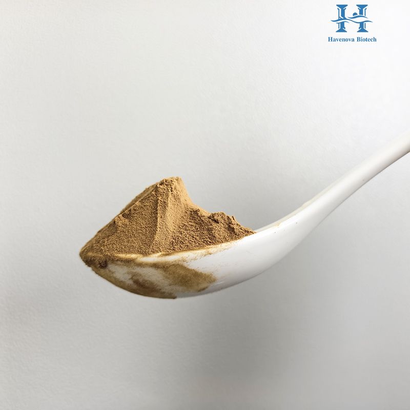 carnosic acid in rosemary, carnosic acid for hair, carnosic acid benefits