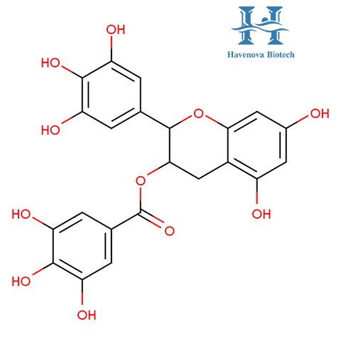 strongest green tea extract, polyphenols from tea, polyphenols green ...