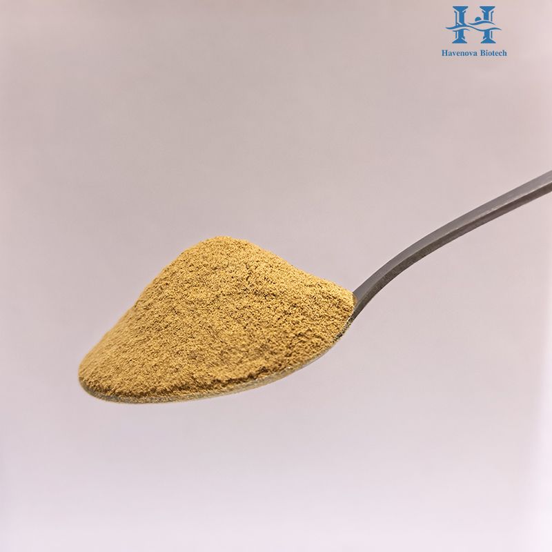 tribulus extract powder, tribulus terrestris powder benefits, tribulus ...