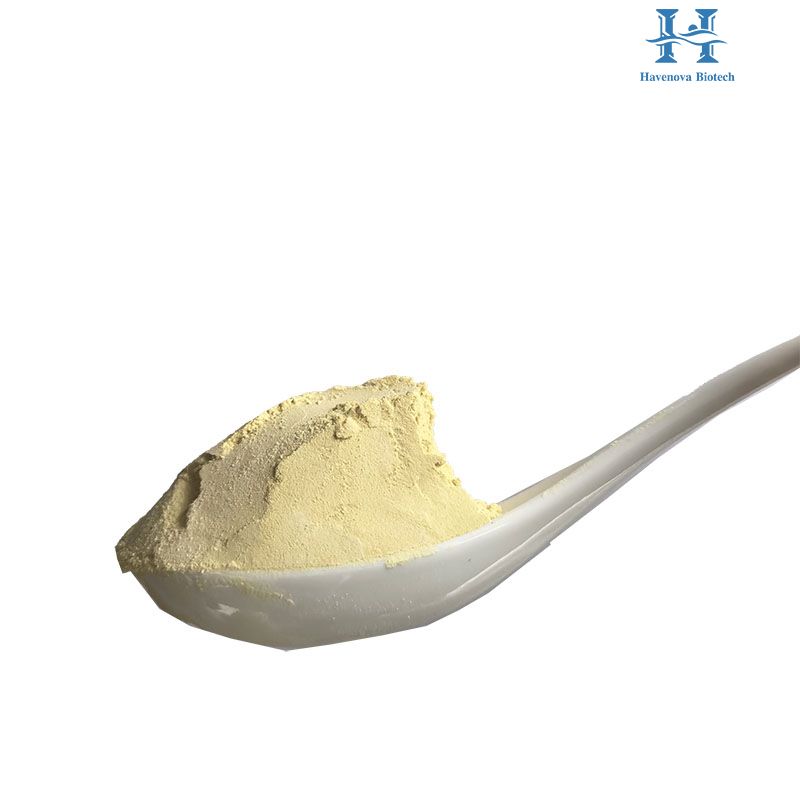 Scutellaria Baicalensis Extract, Baicalein Powder, scutellaria ...