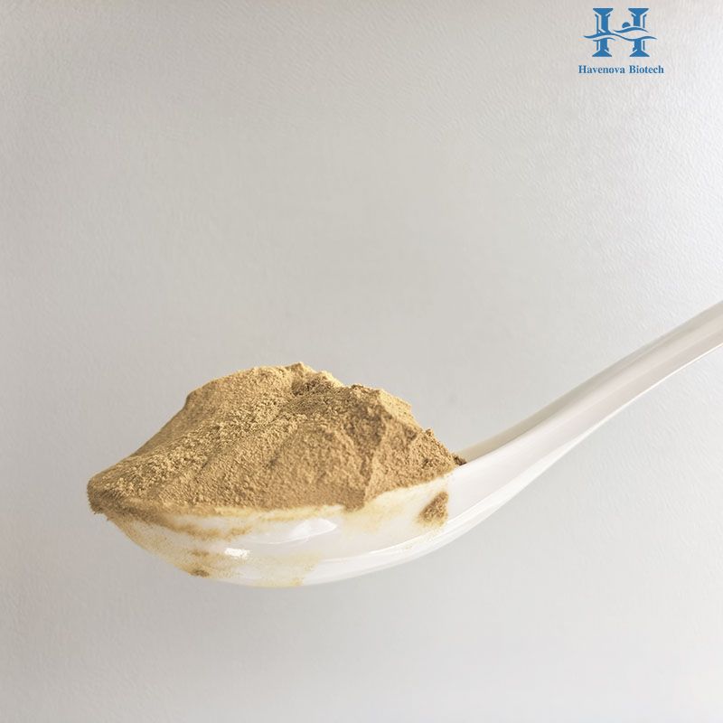 devil's claw root extract, devil's claw extract benefits, devil's claw ...