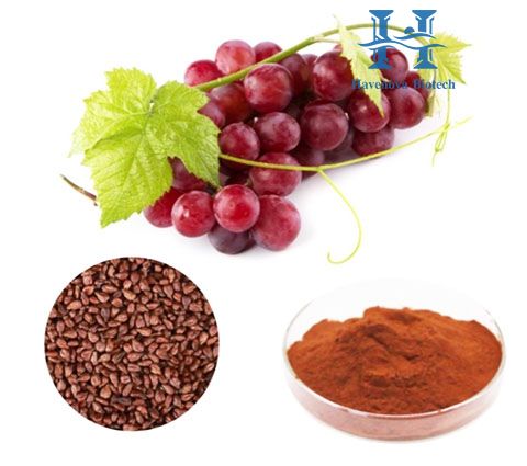 grape seed, best grape seed extract, grape seed supplement