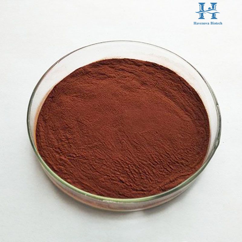 grape seed, best grape seed extract, grape seed supplement