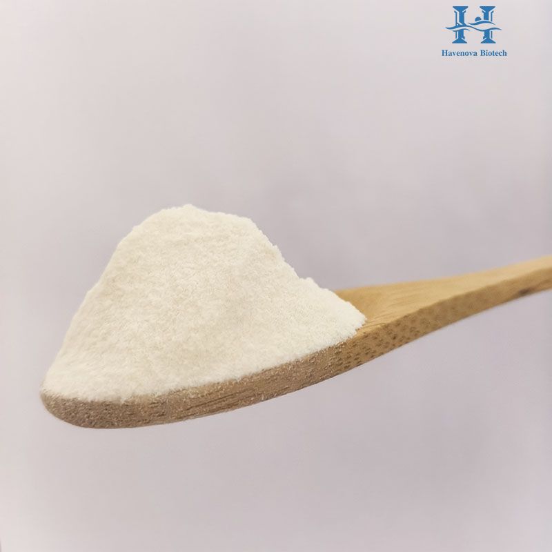 best white kidney bean extract, white bean extract, white kidney bean ...