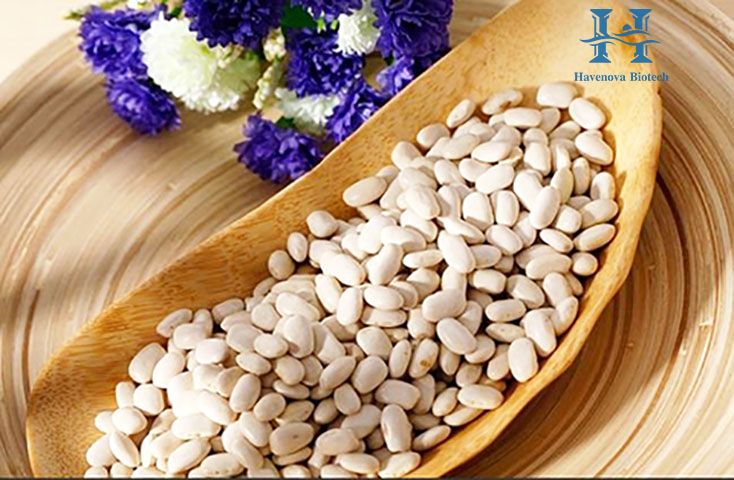 best white kidney bean extract, white bean extract, white kidney bean ...