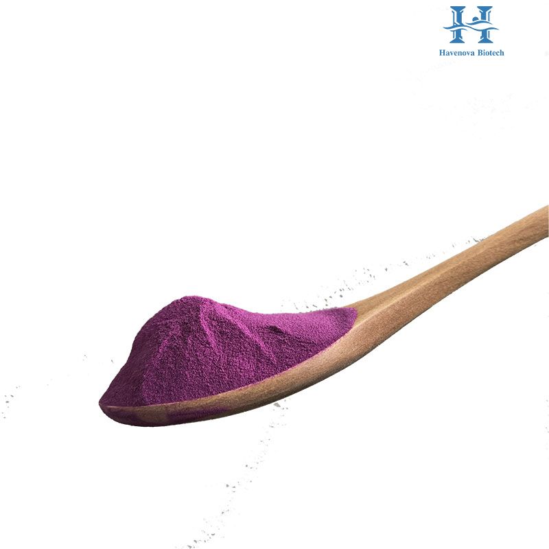 best Dragon Fruit powder, buy Dragon Fruit powder, Dragon Fruit powder ...